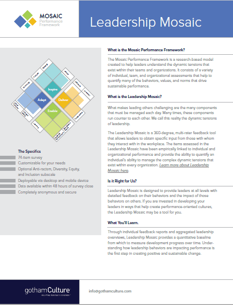 Leadership Mosaic Survey - gothamCulture
