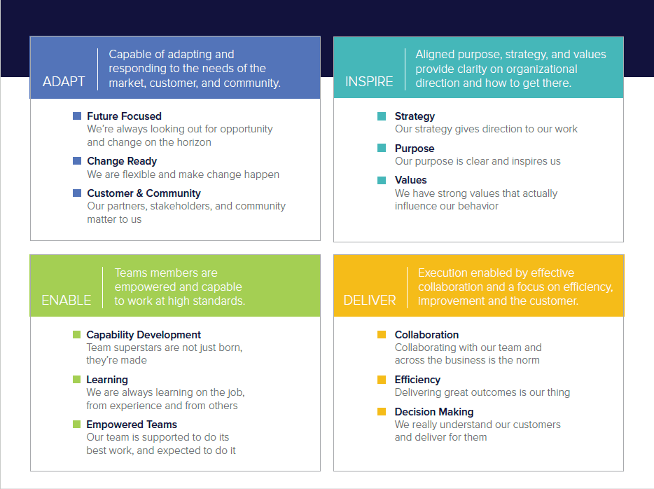 Mosaic Performance Framework Organizational Assessments - gothamCulture
